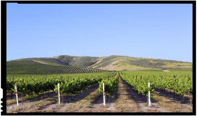 Interes crescut al Ungariei față de Republica Moldova: “Companiile ...